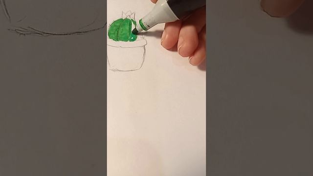 "мини-кактус"