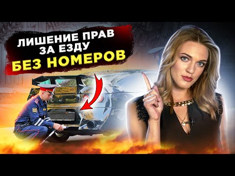 Лишение водительских прав за езду без номерного знака // Маша в праве