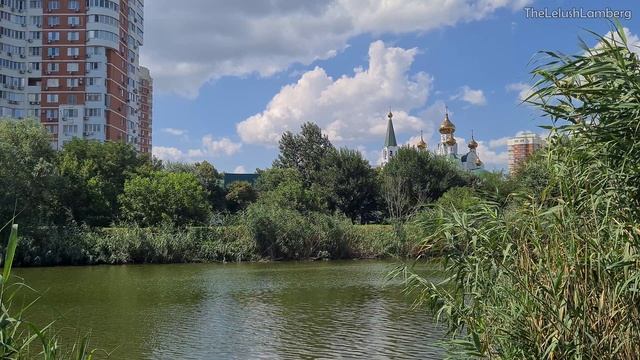 World in Emotion #51 Summer walks Part 1 Sunny days