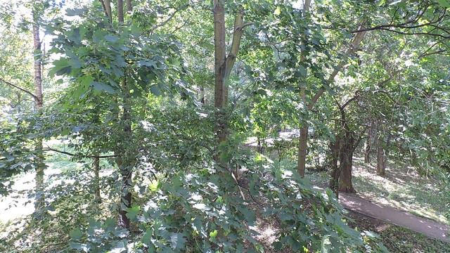 2024-07 Вид из окна