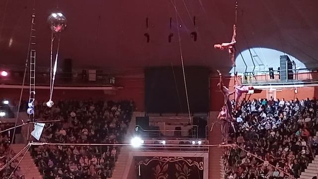 Цирк , город Курск