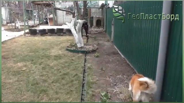 Установка метрового бордюра ГеоПластБорд. Видео отзыв от нашего клиента.