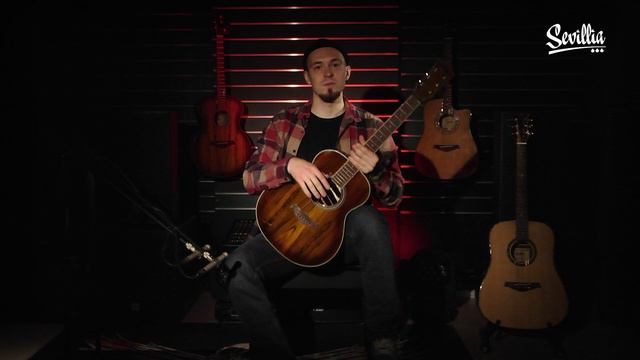 Обзор гитары Sevillia DS-M2 от музыканта