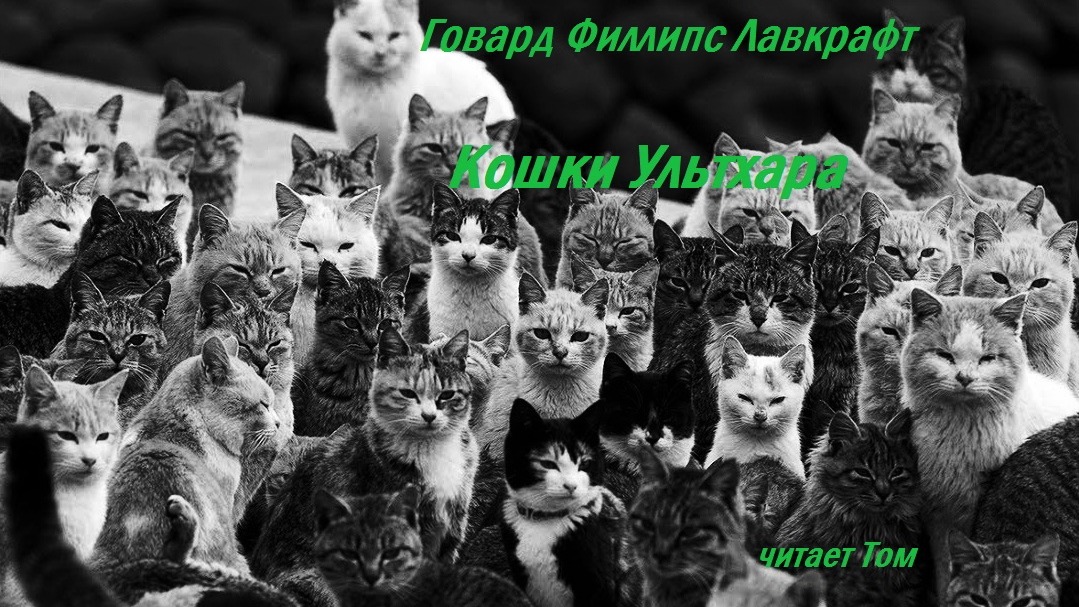 Говард Филлипс Лавкрафт - Кошки Ультхара [читает ♠ Том]