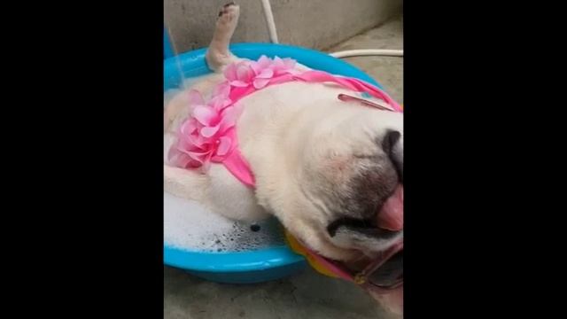 КОМЕДИЯ РОК Послушай - Тишину!!!