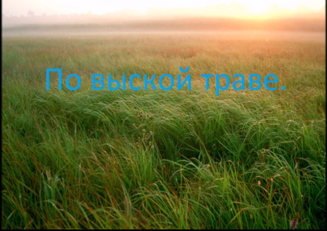 Клип по высокой траве.