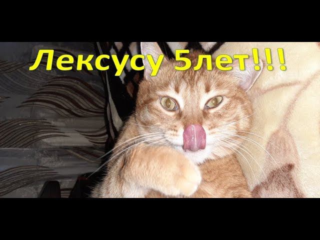 Лексусу 5 лет!!!