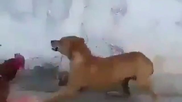 неожиданный разворот...