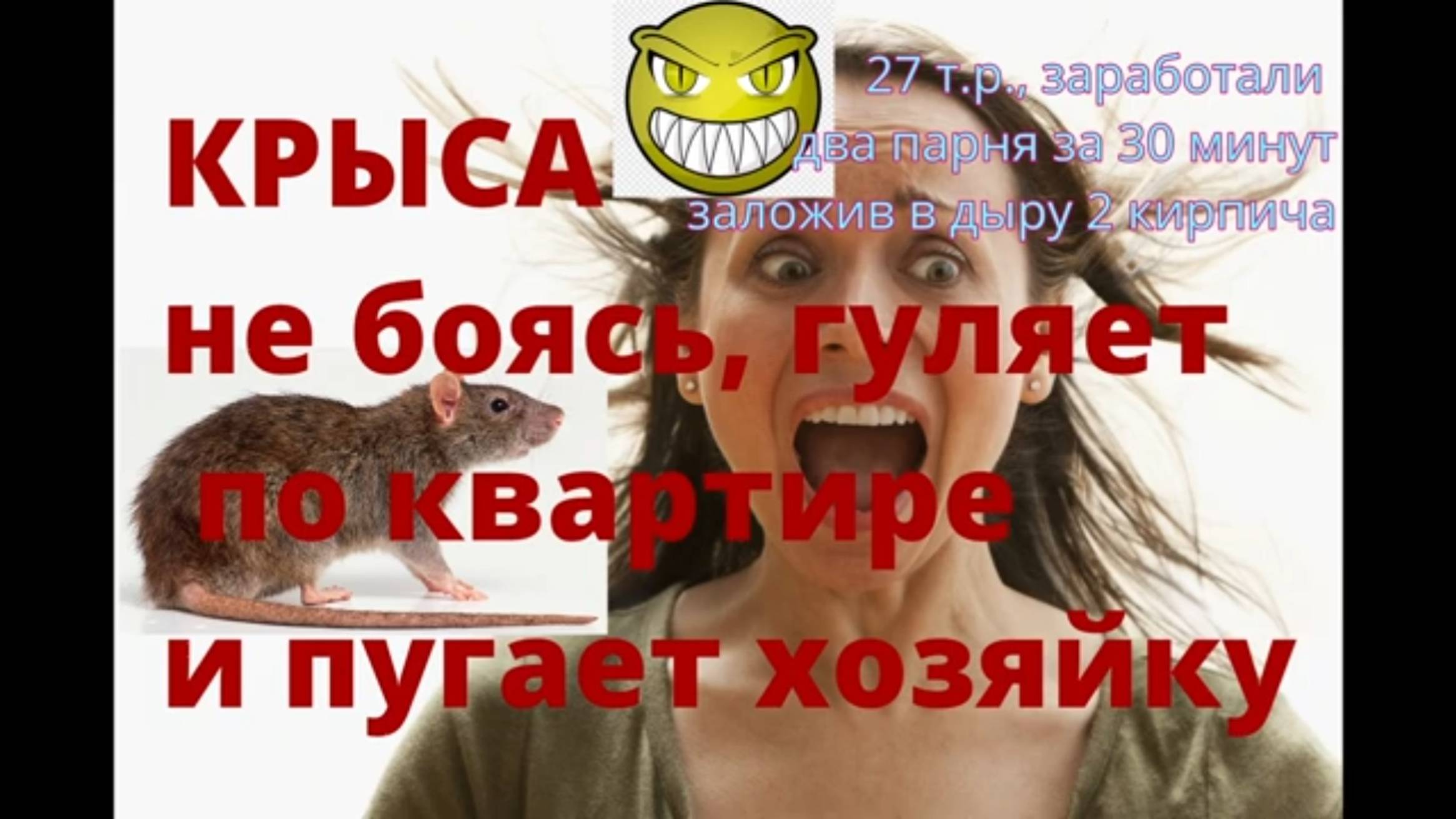 Крыса забралась в квартиру