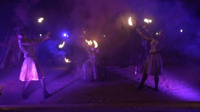 Невероятное Огненное шоу на свадьбе в Усадьбе Морозовка