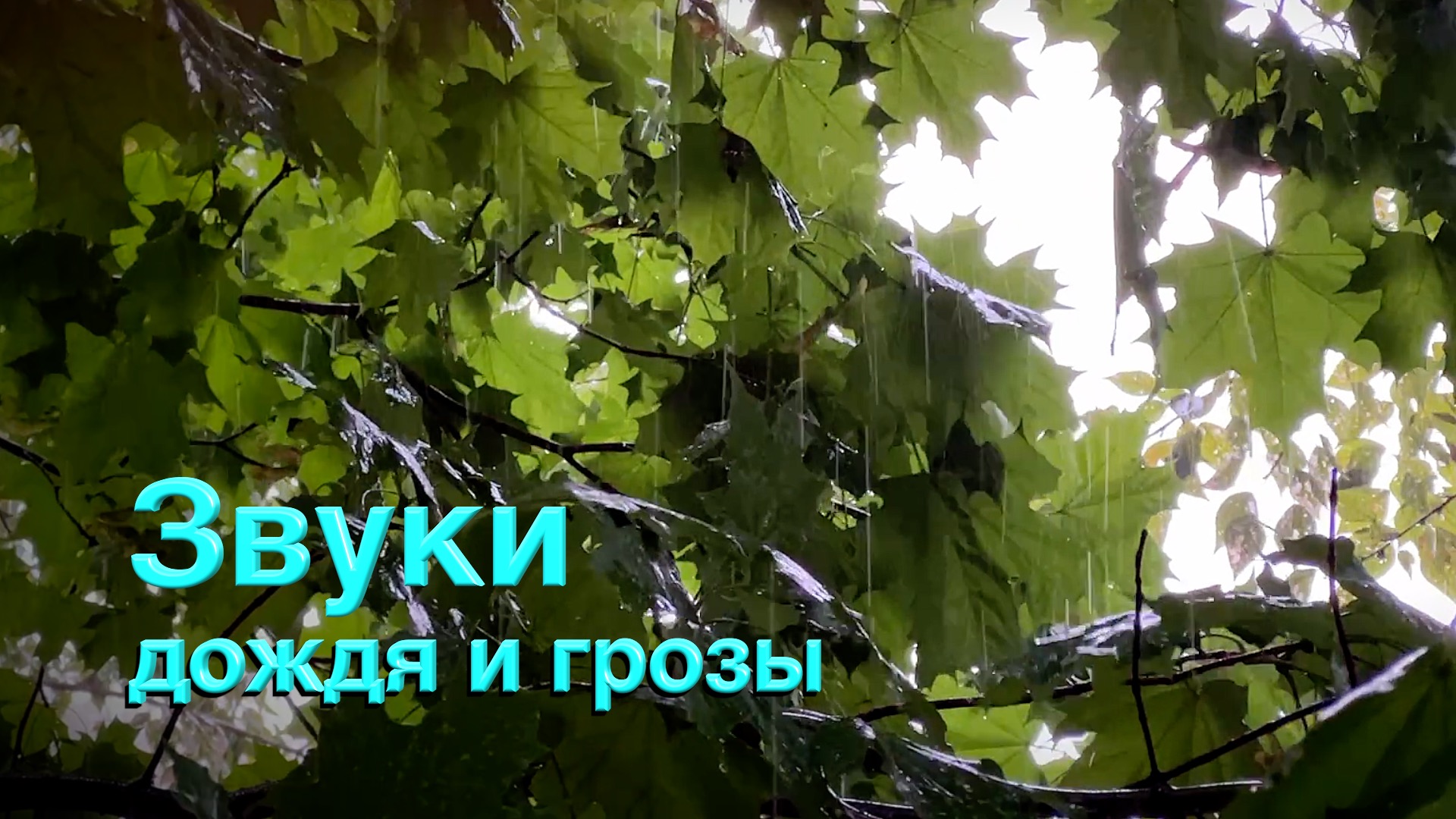 Звуки дождя и грозы в городе / Москва, спальный район, снято из окна