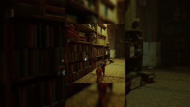 "пам пам пам"  - Нарезка стрима... #stray #ржака #смотрим