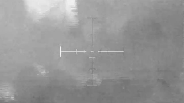 Лиса на приваде 3