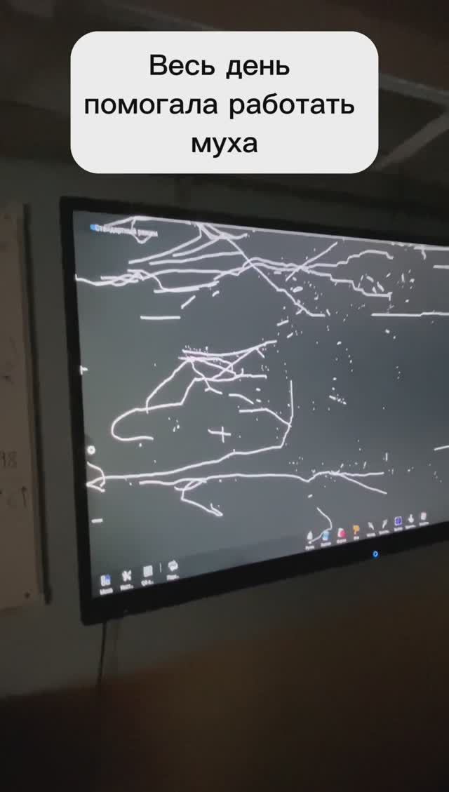 Муха рисует на доске