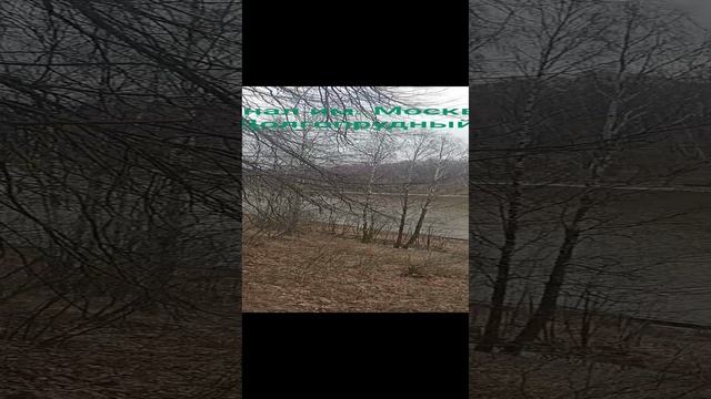 Катера и яхты на канале им. Москвы в Долгопрудном