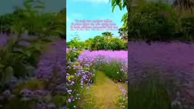 И снова день порадует добром