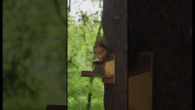 Мудрое решение проблем. Дорожи своим духовным доровьем.