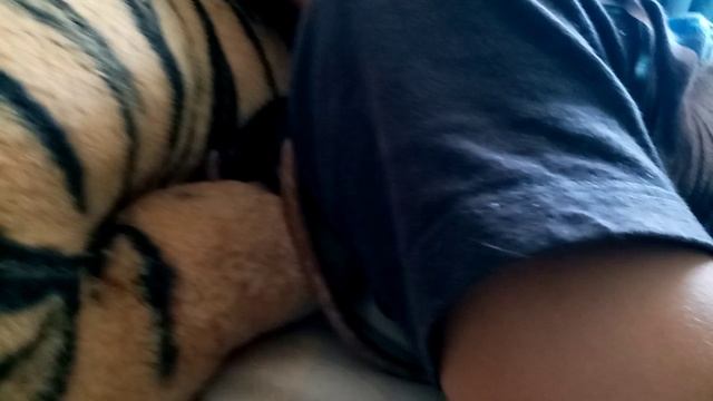 Крысы ищут укромные места, а мы мешаем им прятаться