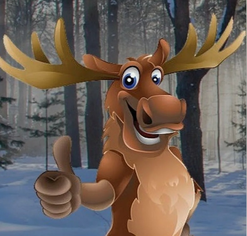 Лосей в лесу как грязи