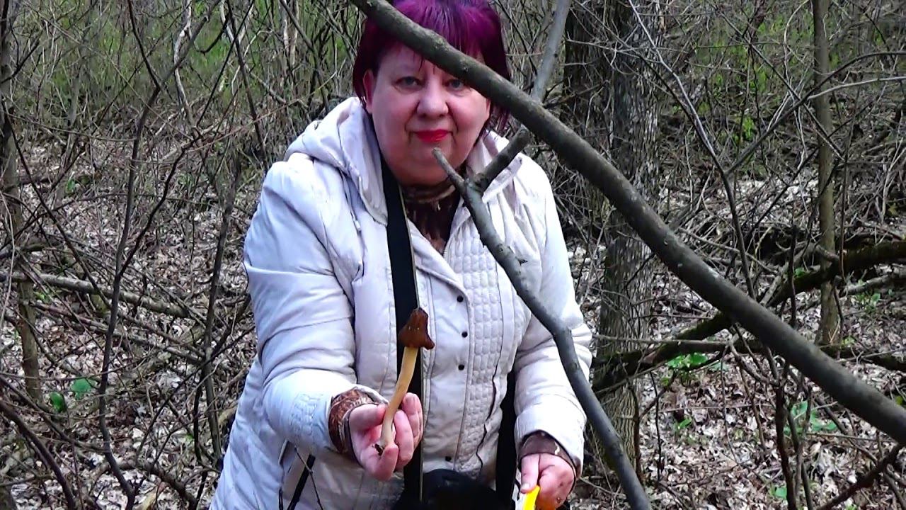 Сморчки тихая охота