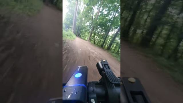 Вниз по Московскому парку на велосипеде