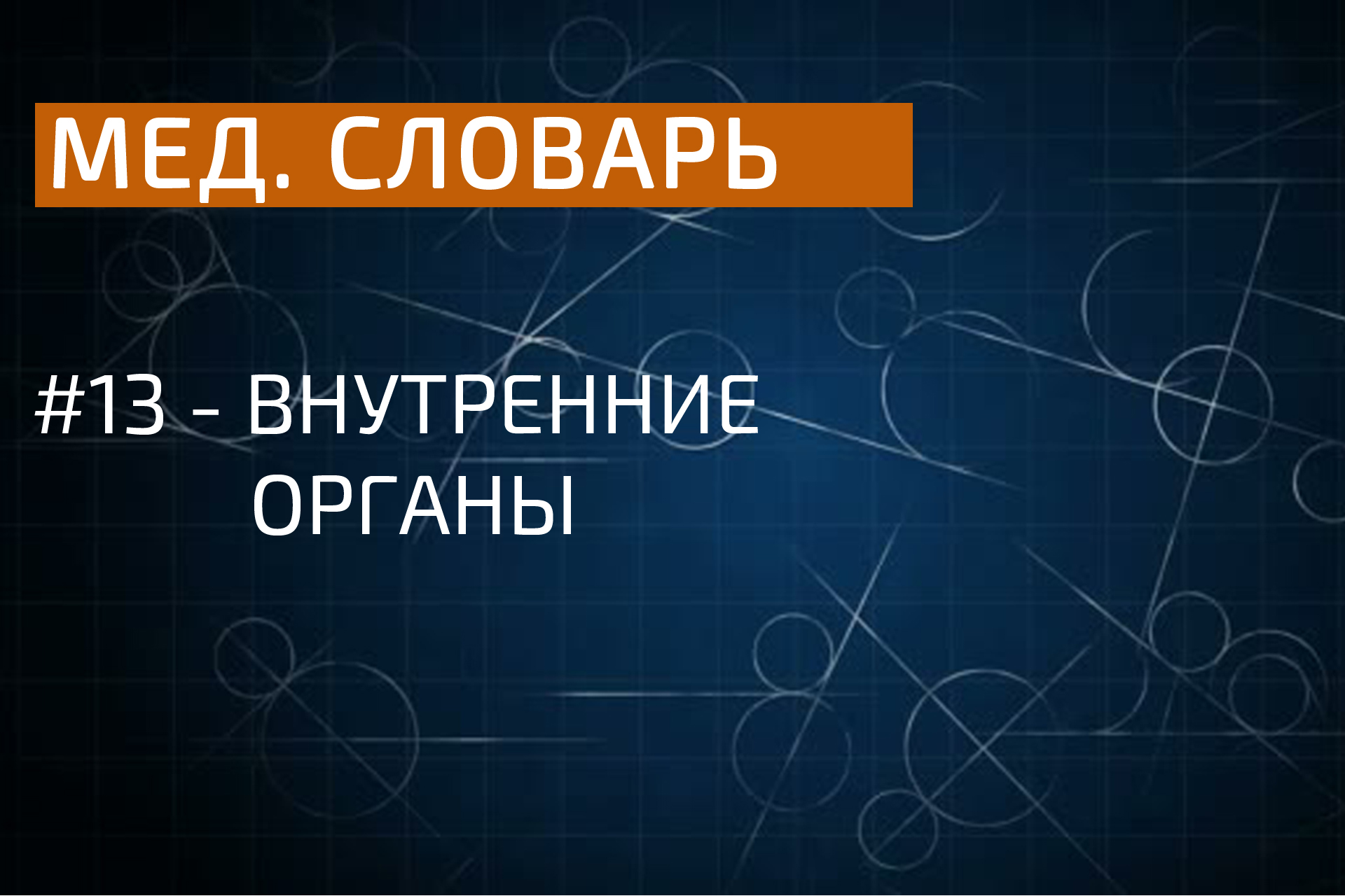 Медицинский словарь: внутренние органы