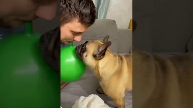 VID_20221230_123743_864.mp4