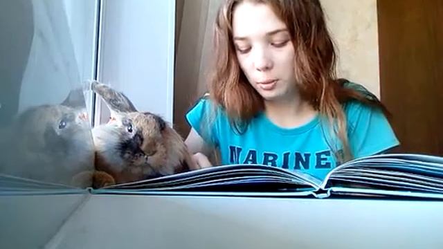 #СказкиНаНочь