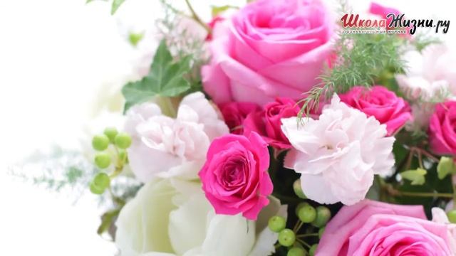 Как продлить жизнь цветам?