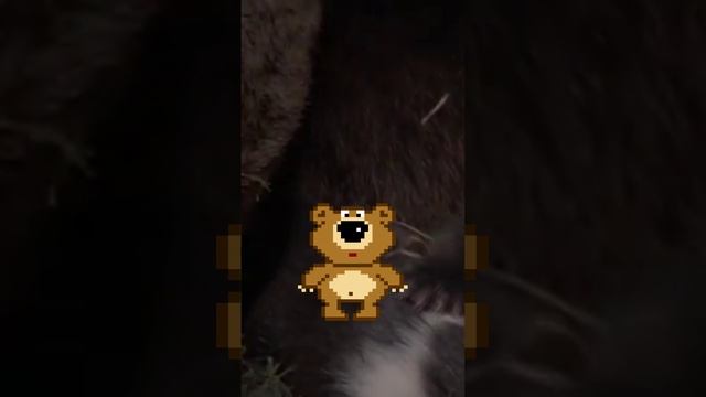 Мишкин стендап.Часть 12