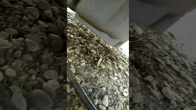 Замена ремня ГРМ Kia Carens/Kia/Киа Каренс 1,8 / 16 кл /TB/T8B/TB8