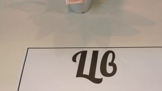 Цветы Вместе - Антурим Вайт Чемпион Anthurium White Champion 7/25