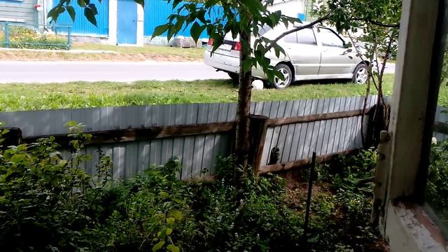 Кое как уговорили кота вылезти из под машины