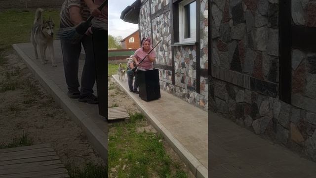 #юмор #смехдослез