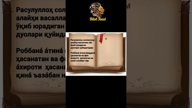 ОСОН ДУО ЁДЛАБ ОЛИНГ РАСУЛУЛЛОҲ ﷺ ЎҚИГАН ДУОЛАРИ #дуо #маруза #маъруза #узб #абдуллоҳ #домла #шорт