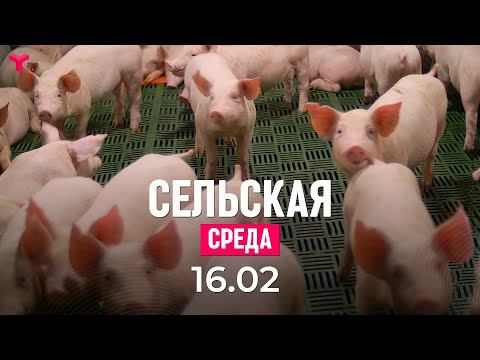 Сельская среда 16.02.2022