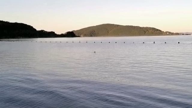 Дорога - петешествие на море, отдых сентябрь 2024г.