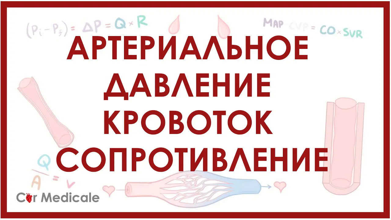 Артериальное давление, кровоток и сопротивление - физиология сердечно-сосудистой системы