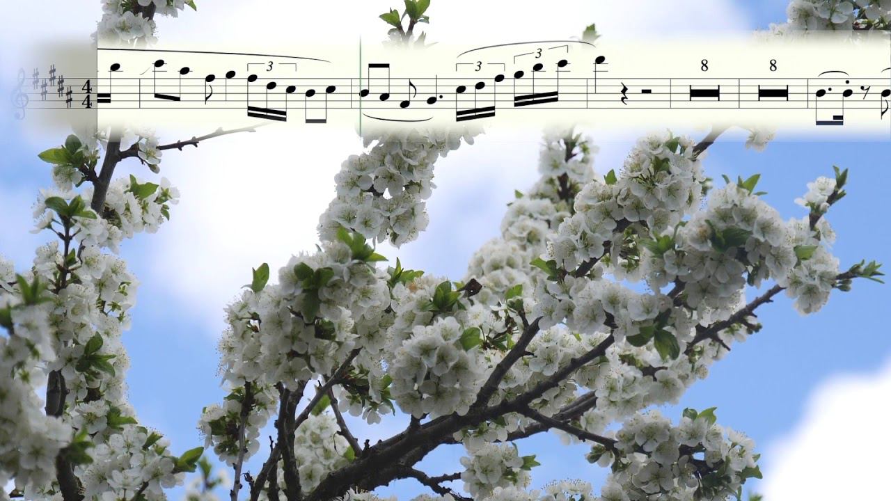 Dinka ft. Syntheticsax - Elements (EDXs Remix) Backing Track & Sheet for Music SaxophoneSoprano