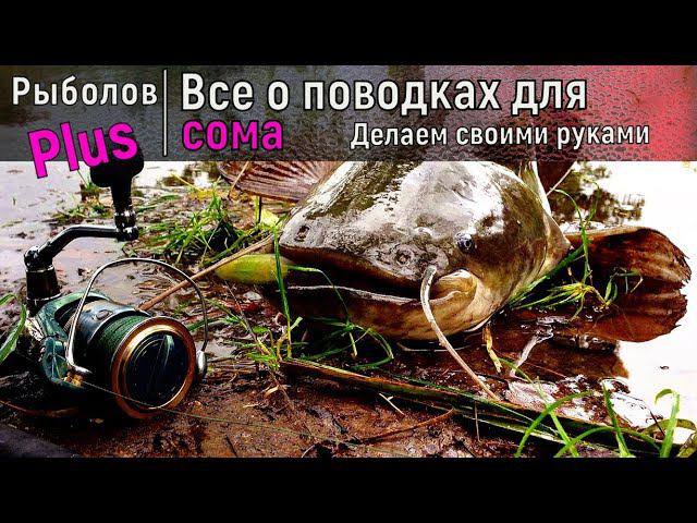 Лучший поводок  на СОМА (подробно)