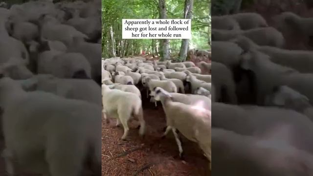 А на Кавказе такое, наверное, в порядке вещей