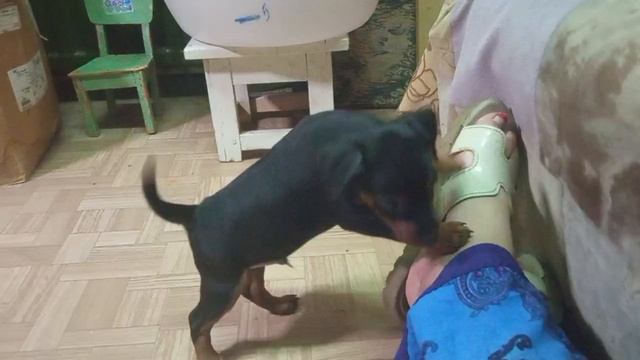 2_5418294285504108797