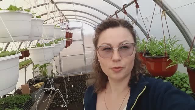 Обзор теплиц на 14 апреля 2022г.