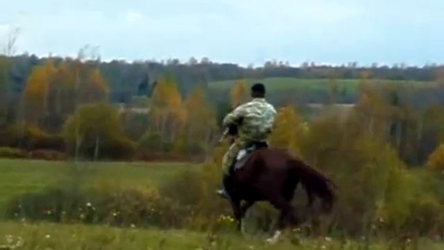 Где-то кони пляшут