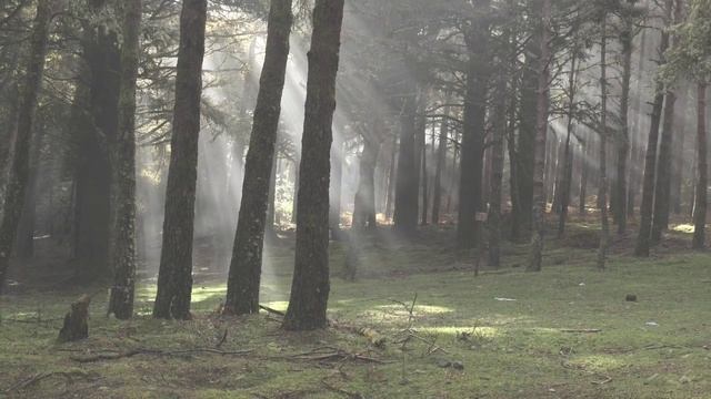 Красивая музыка  Спа массаж музыка