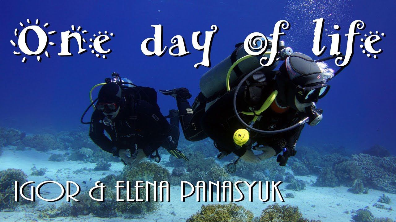 Дайвинг в Шарм эль Шейхе. Один день из жизни Игорь и Елена Панасюк