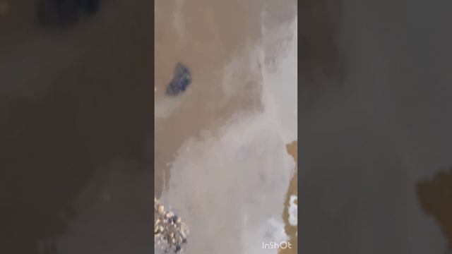 ПроПечальки.Квест "доплыви до платформы"🤣.mp4