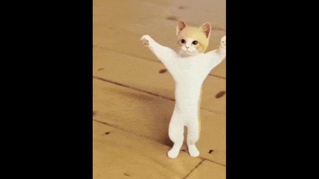 CATS DANCE-HOUSE MUSIC-2024-TOP SOUND