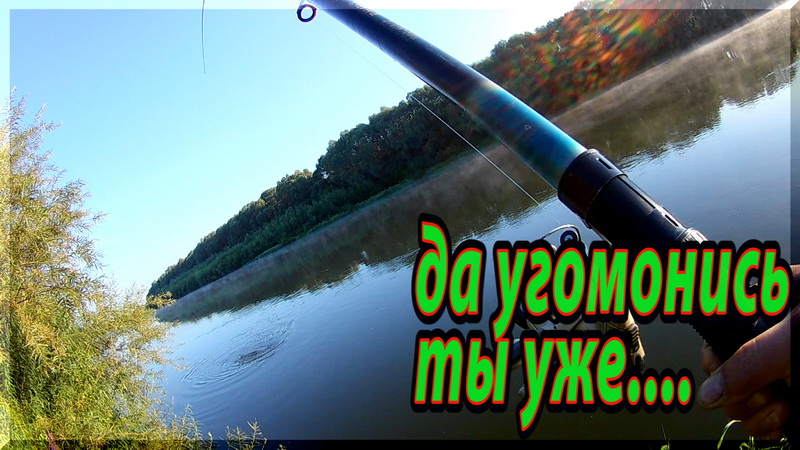 Да ты успокойся...Хорошо что есть такие ЛЕЩИ. Ловить их одно удовольствие.Рыбалка на Оке с удочкой.