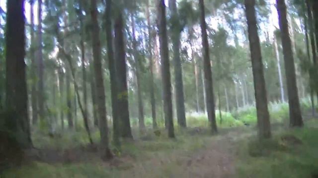 Слой белых пошёл фильм 2 2017